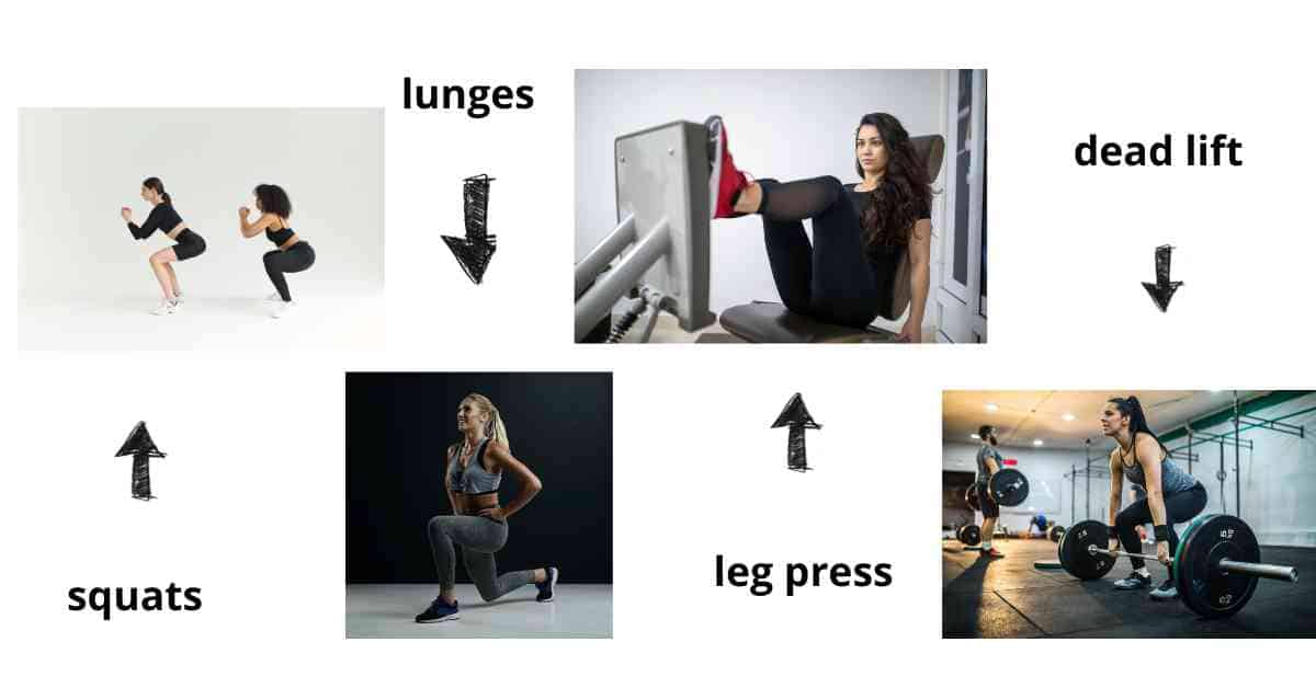 The Ultimate Guide to Building Strong Gymnast Legs - Jusifying Fun ...